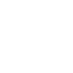 SWF Summit | SWFI Events