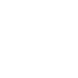 SWF Summit | SWFI Events